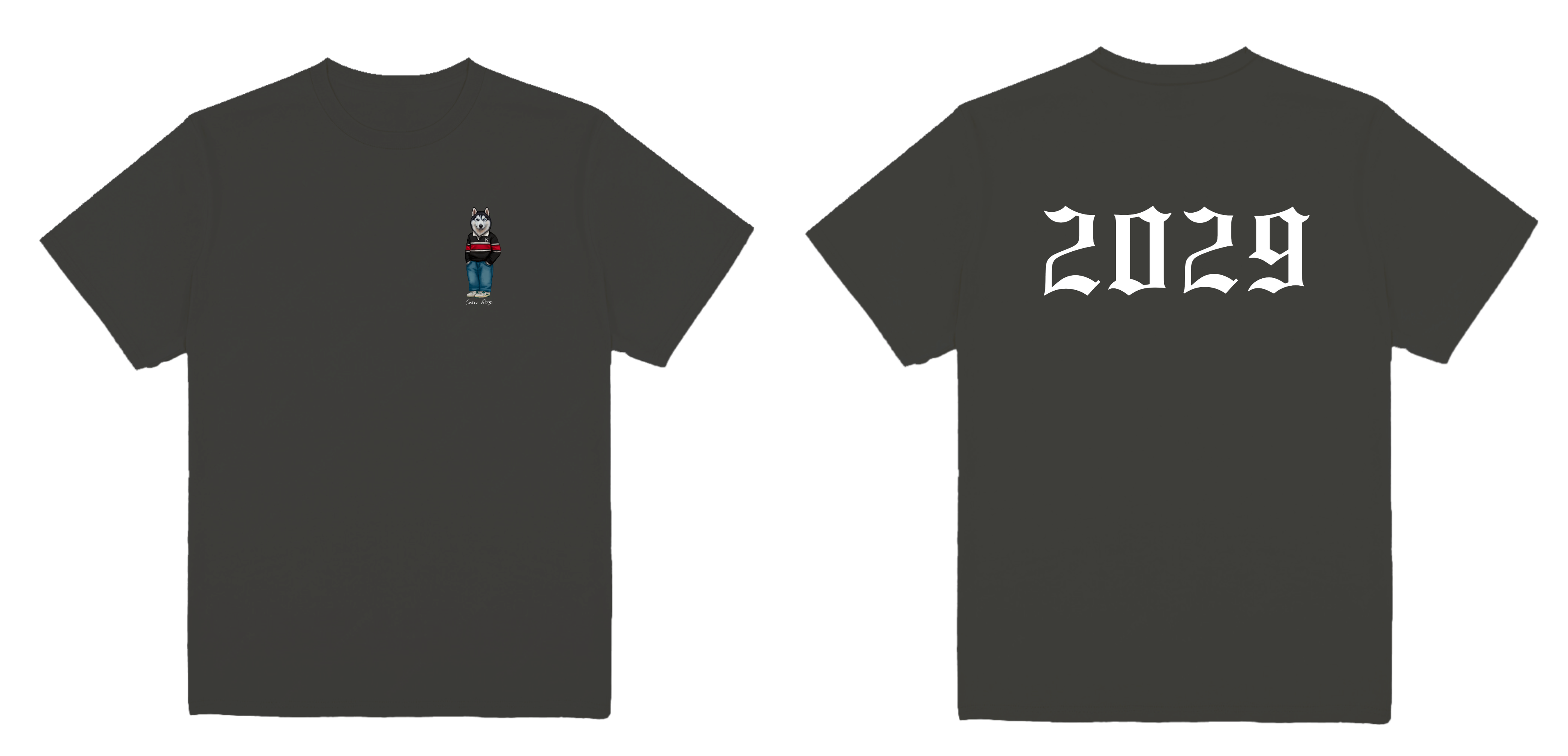 Northeastern 2029 Tee – Crew Dog